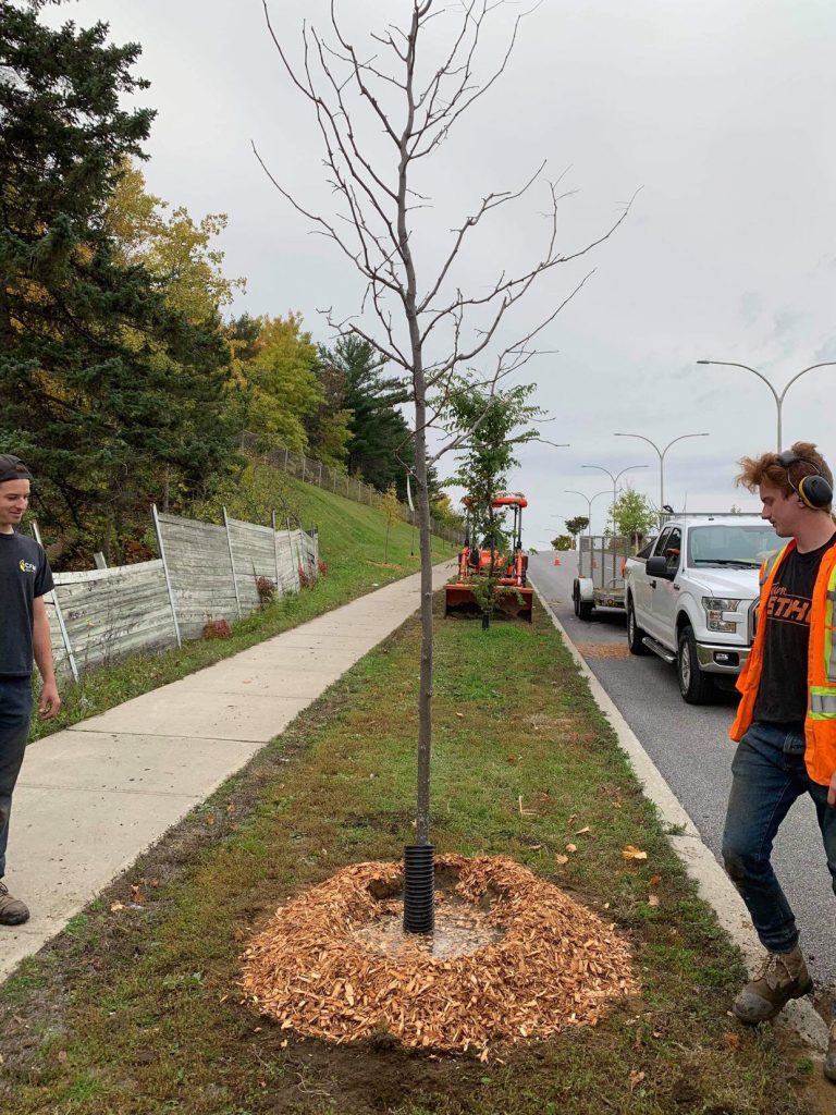 GenZ Landscapers: Meet the 20-year-olds Behind Orange Landscaping