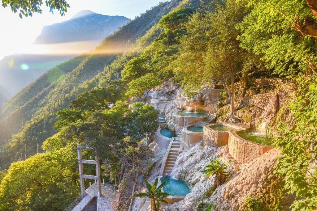 8 Real Landscaping Designs that Look Like Star Wars